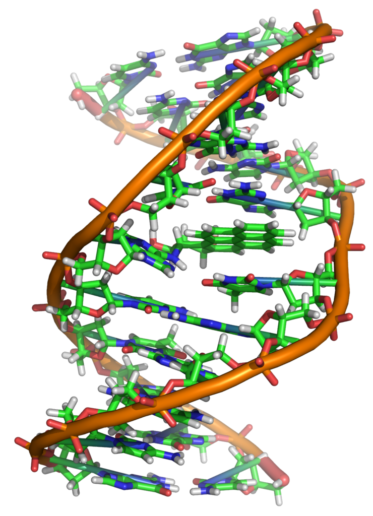 Mutagenic agents & its significance Physical & Chemical mutagenic agents