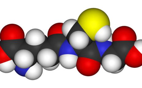 Mechanism of photosynthesis and Site of photosynthesis