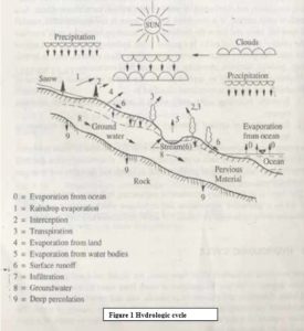 HYDROLOGIC CYCLE PROCESS EXPLAINED IN DETAIL